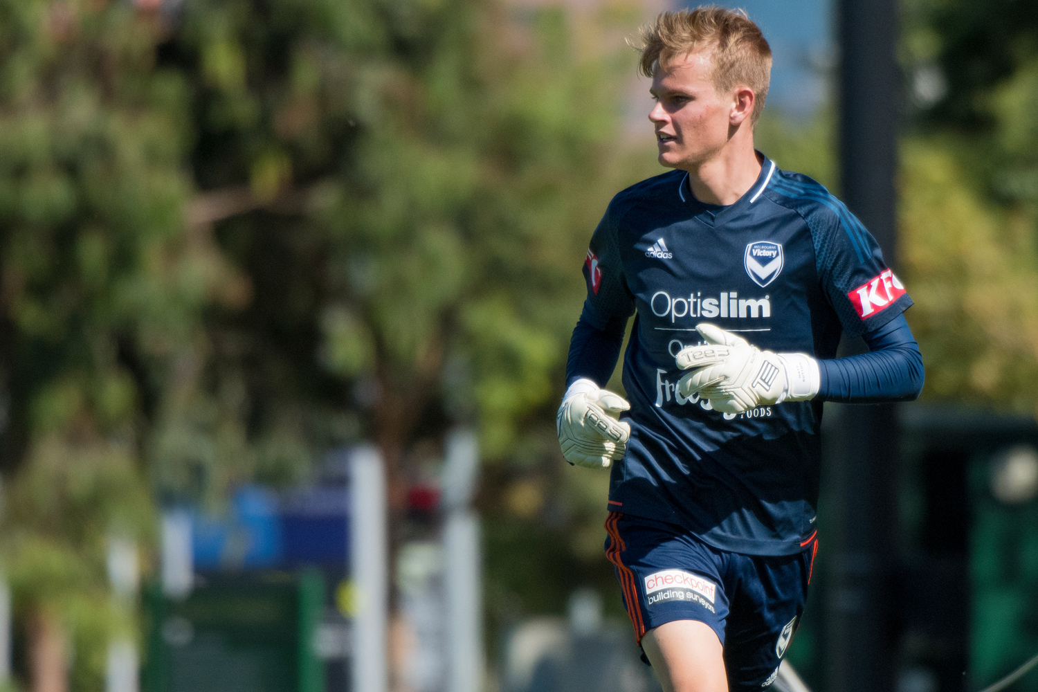 Victory signs Sutton as scholarship player | Melbourne Victory