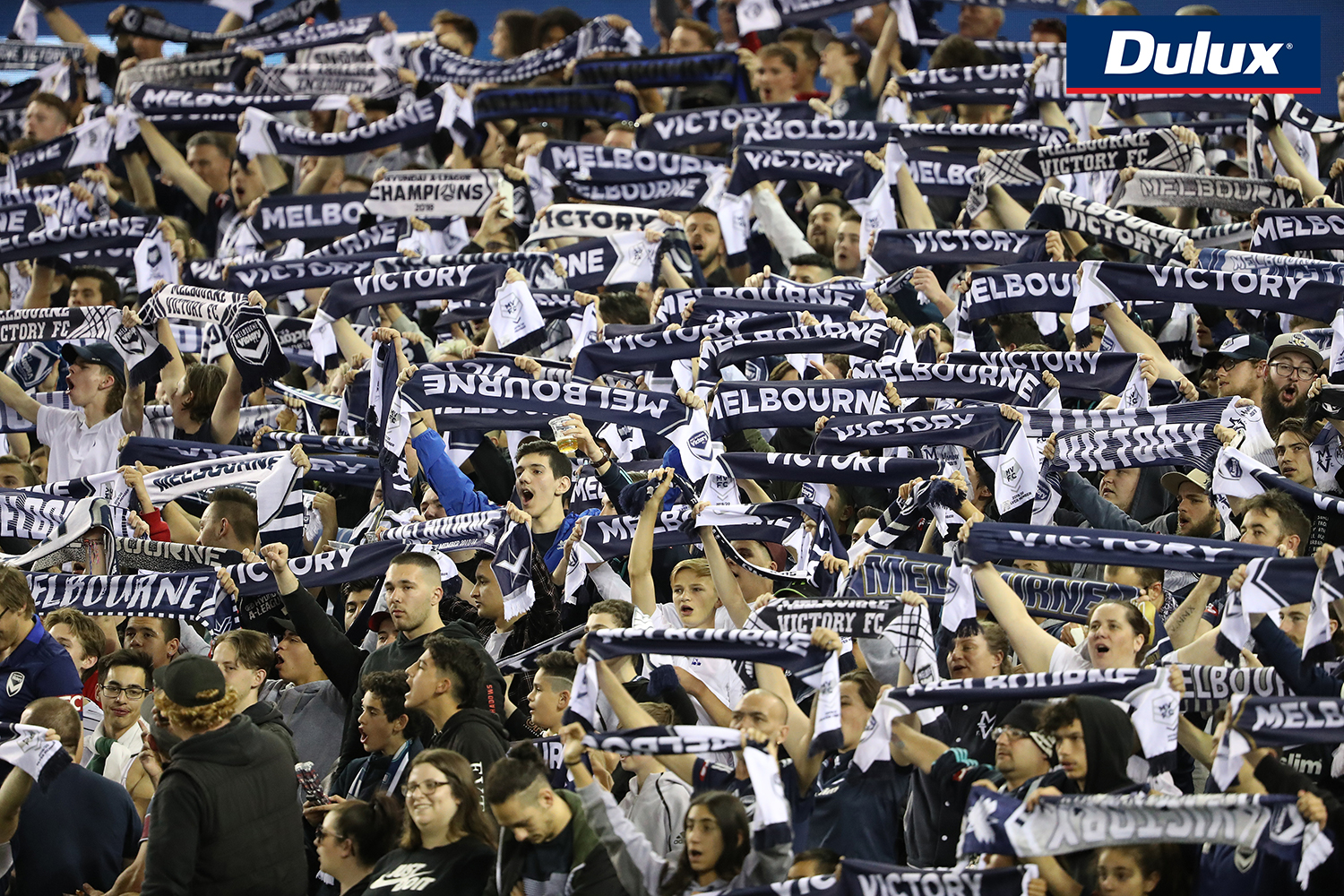 Member feature: Lachlan Harris | Melbourne Victory