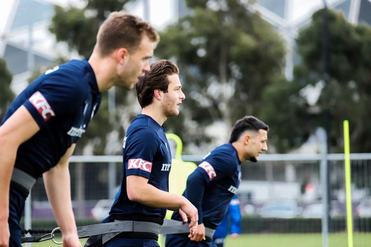 Victory's NPL season called off | Melbourne Victory